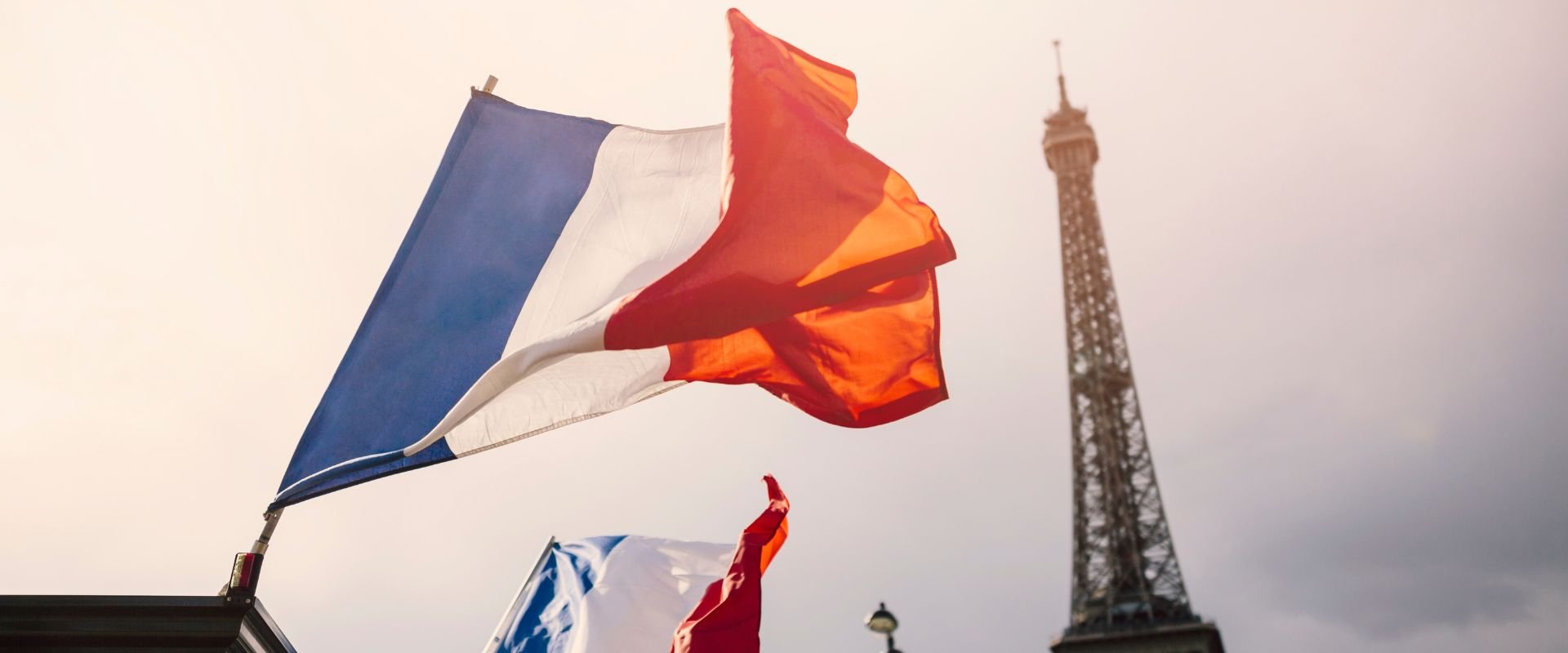 Grad-Dreams: Top Study Abroad Consultants in India